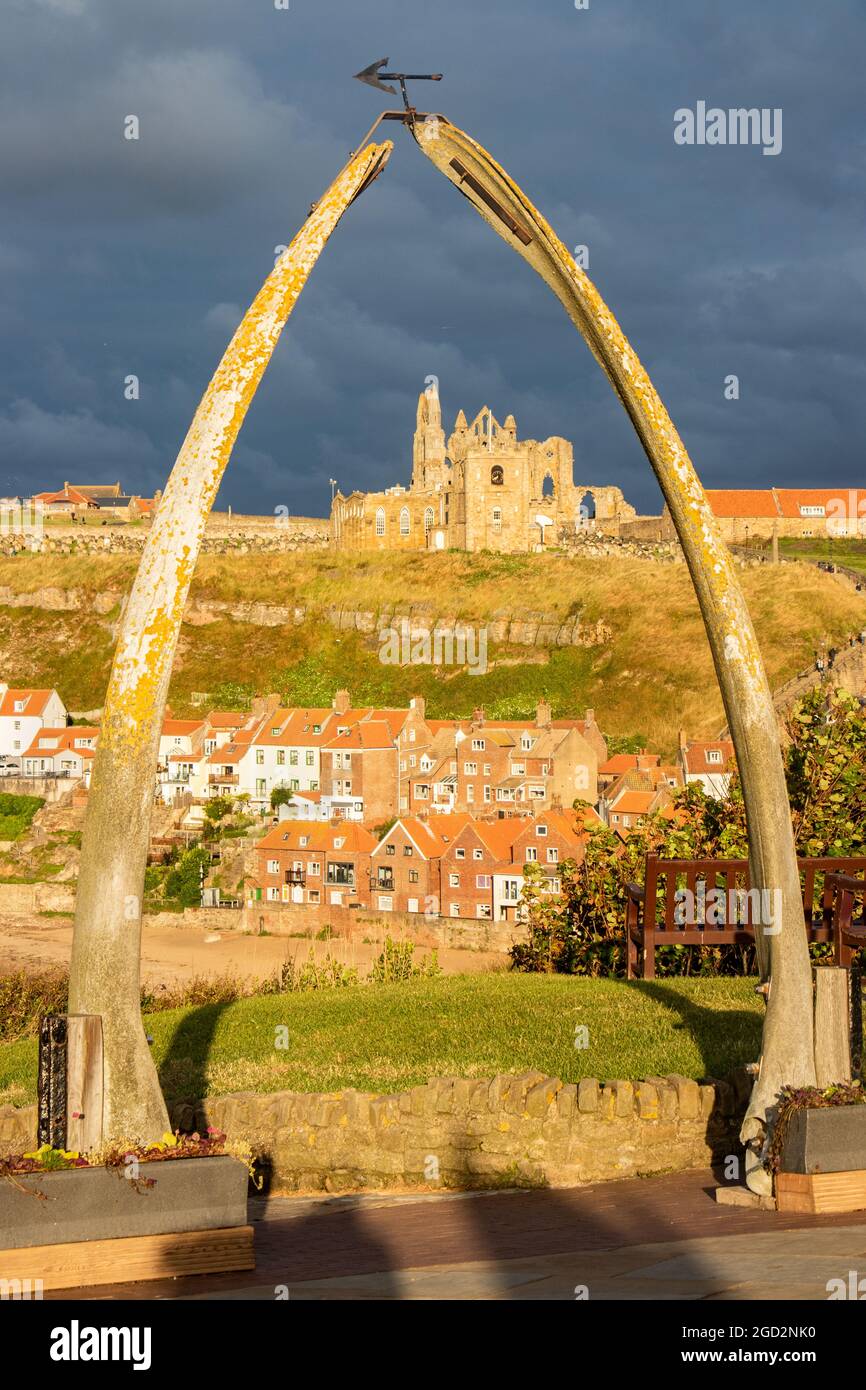 the ruins of Whitby Abbey framed by the whalebone arch in the evening ...