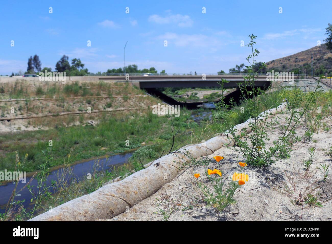 This bridge and undercrossing is part of the newly expanded SR-76. This ...