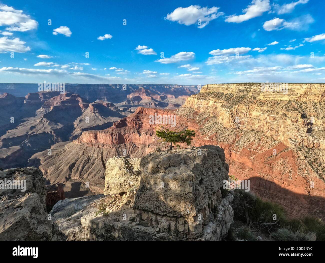Stunning view from the South Rim Trail, Grand Canyon National Park ...
