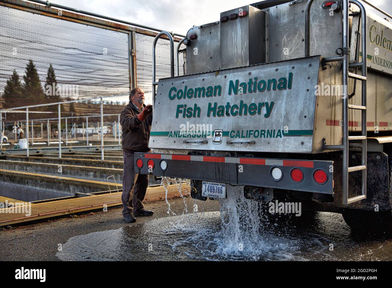 Hatcher fish hi-res stock photography and images - Alamy