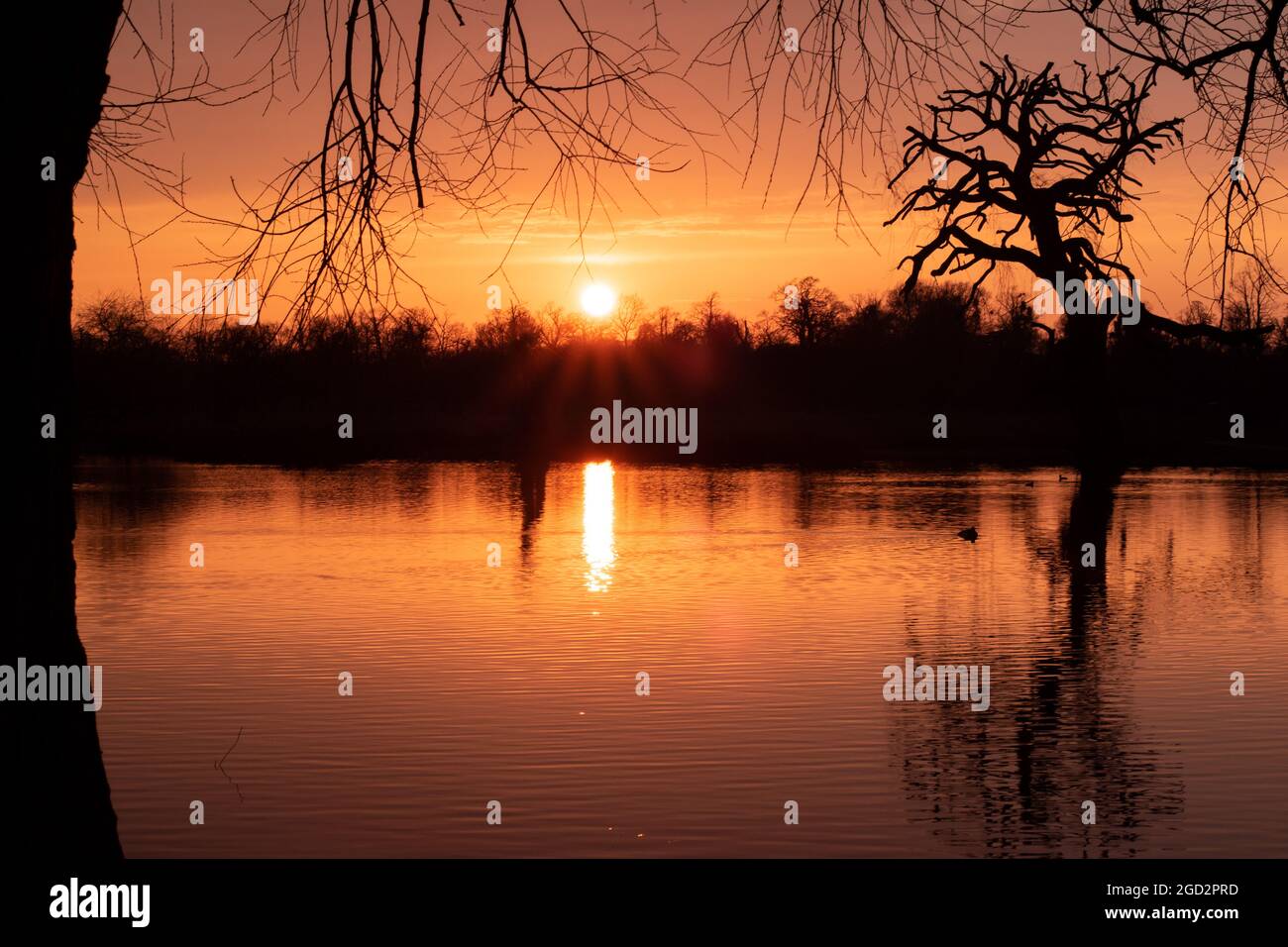 Tree line sunset uk hi-res stock photography and images - Alamy