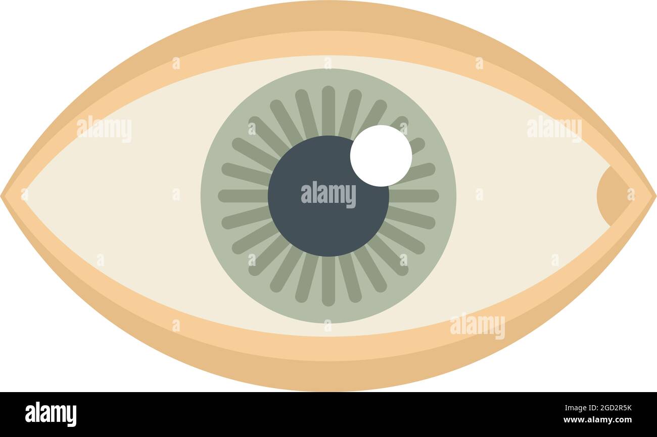 Mission eye icon. Flat illustration of mission eye vector icon isolated ...