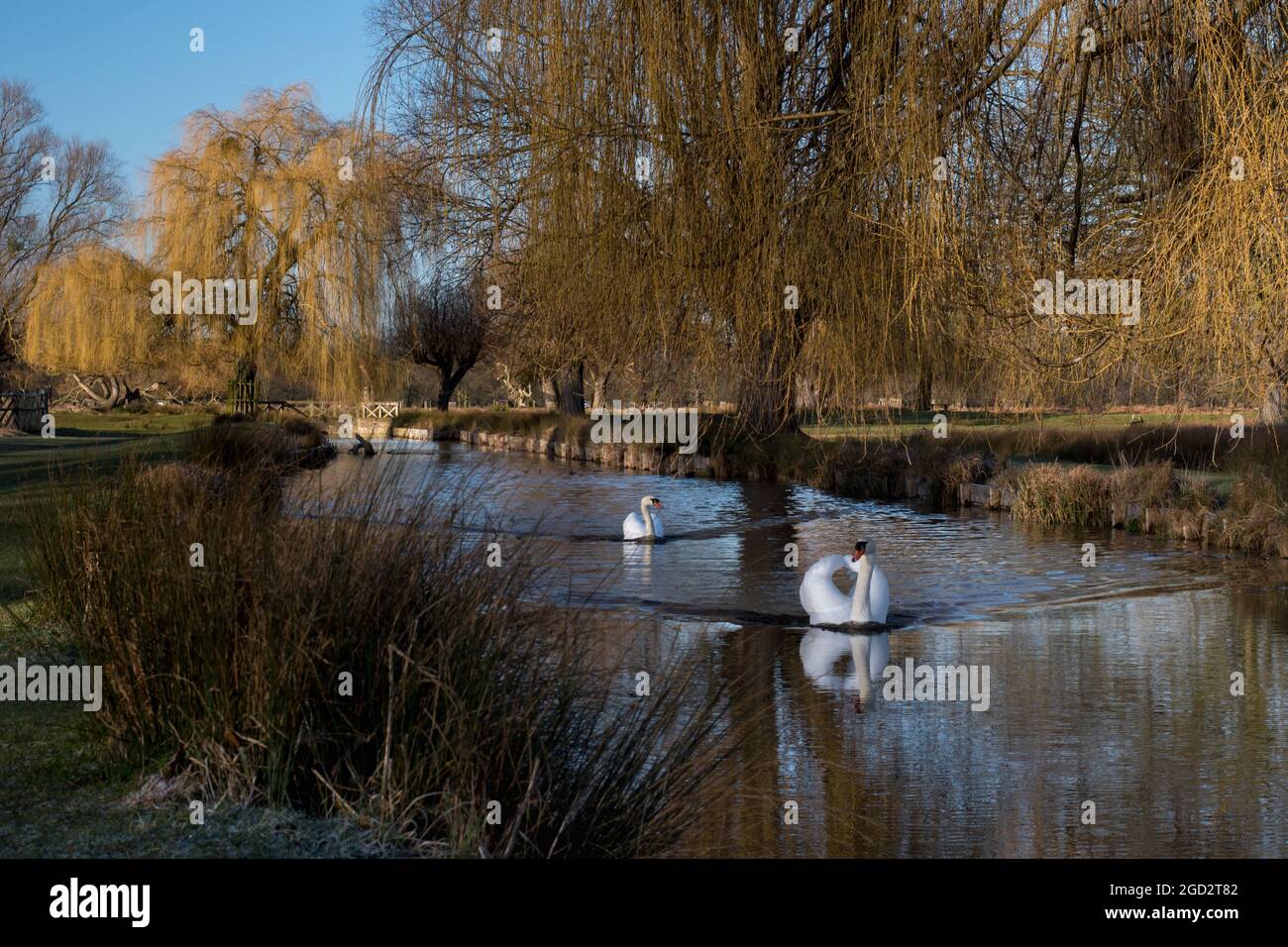 Drifting along the Stream Stock Photo - Alamy