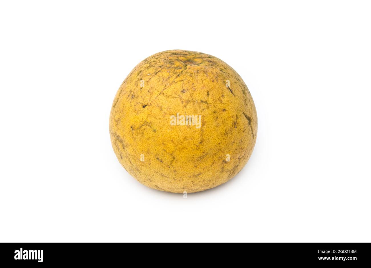 Shaddock hi-res stock photography and images - Alamy