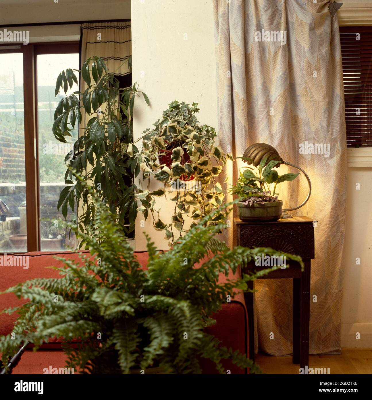 Plants in corner room hi-res stock photography and images - Alamy