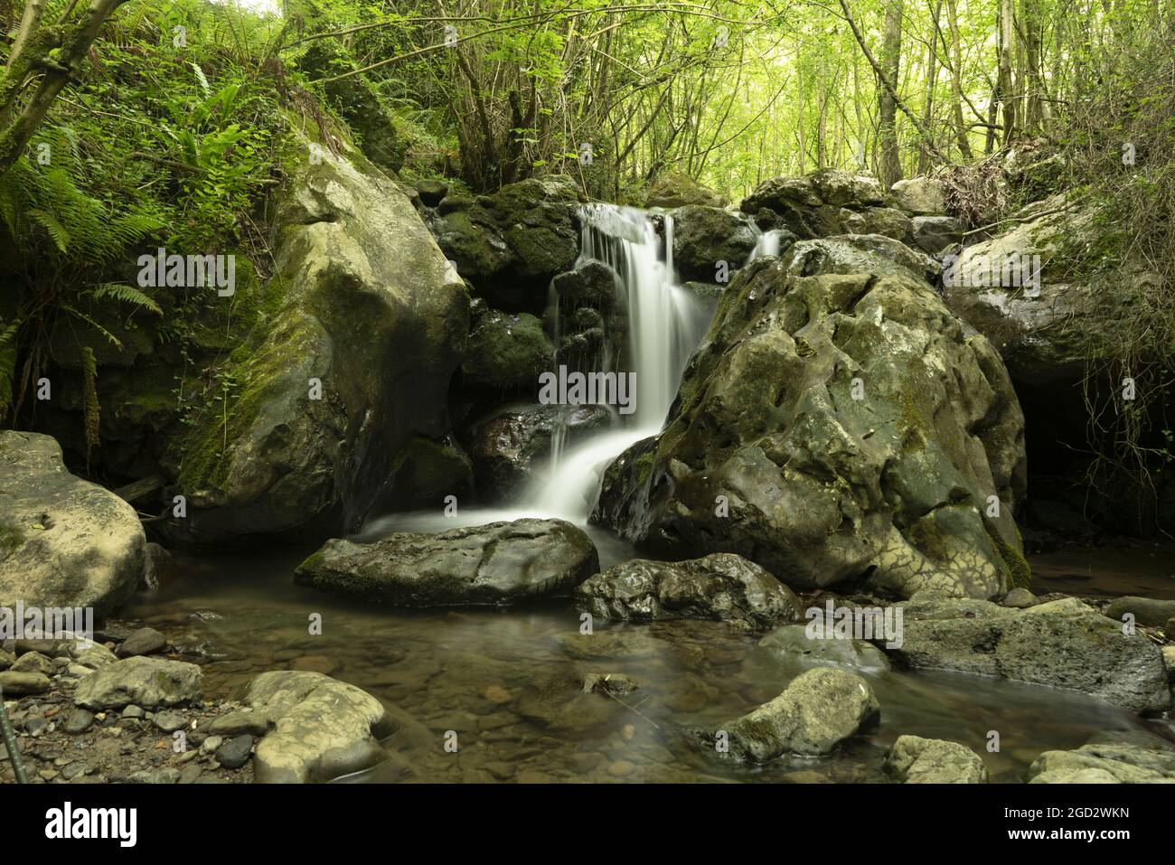 Breathtaking view of a waterfall on the rocks in the middle of a for ...