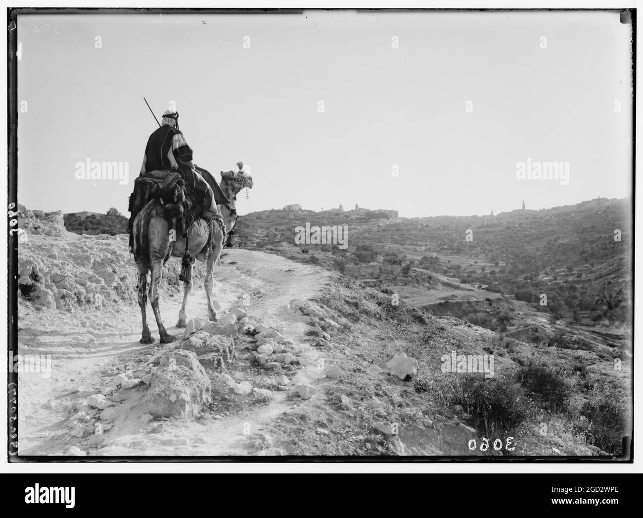 Camel riding israel hi-res stock photography and images - Alamy