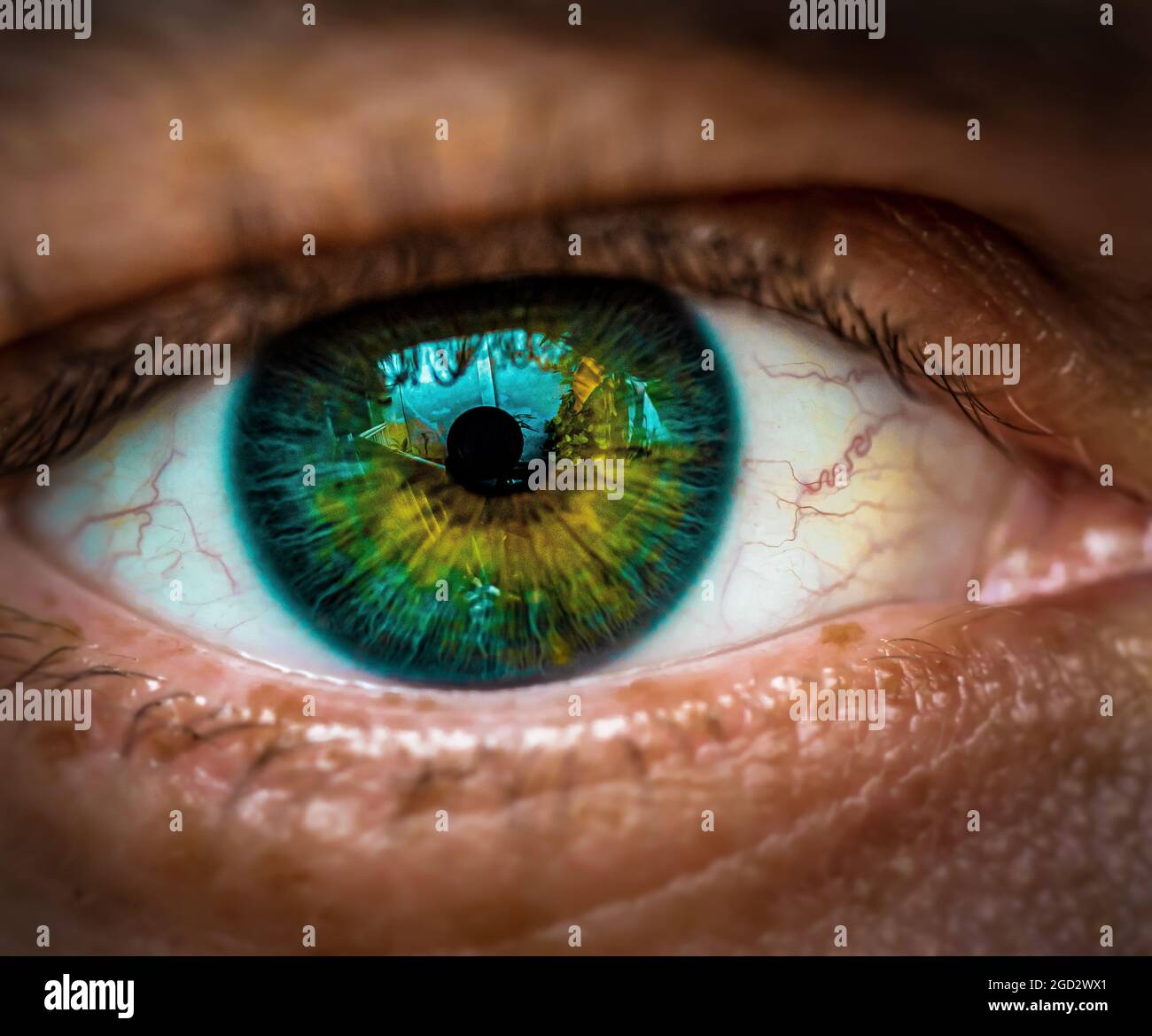Selective closeup of a human green eye Stock Photo - Alamy