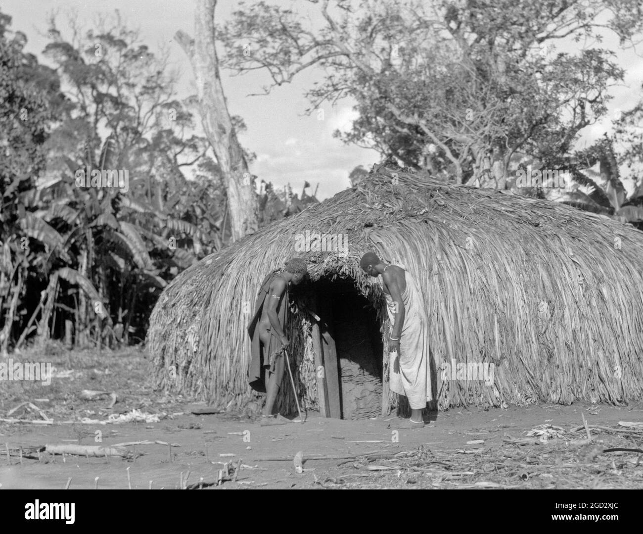 Typical native hut hi-res stock photography and images - Alamy