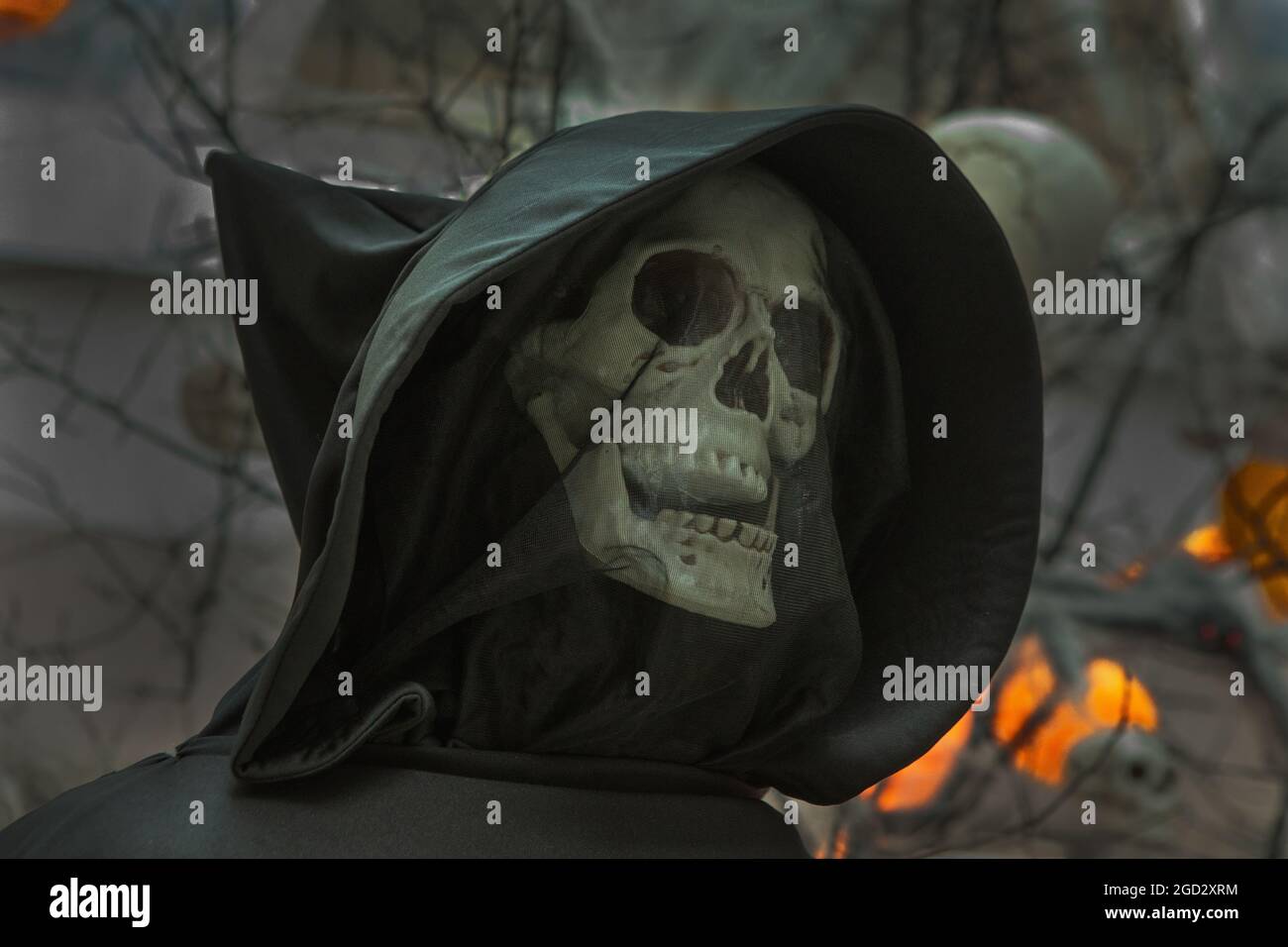 Grim reaper side view and branches of a tree, from which a spider's web ...