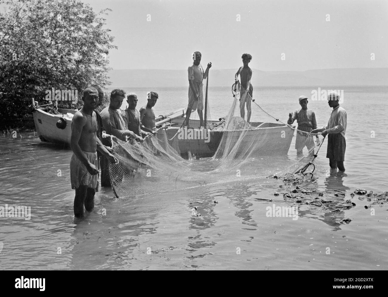 Tiberias fisheries, Arab men fishing with a drag net. Loading drag net ...