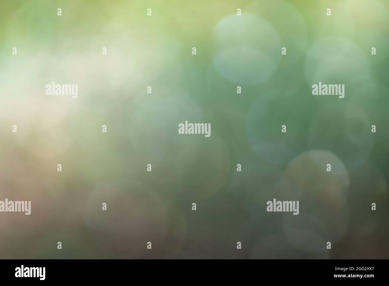 Bokeh background in light colors Stock Photo - Alamy