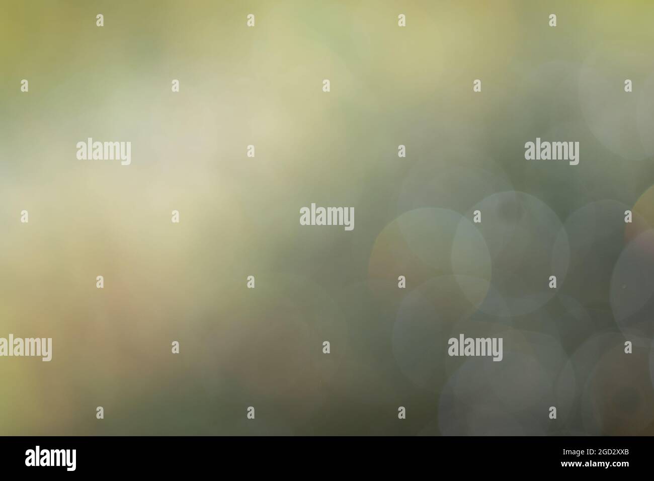 Bokeh background in light colors Stock Photo - Alamy