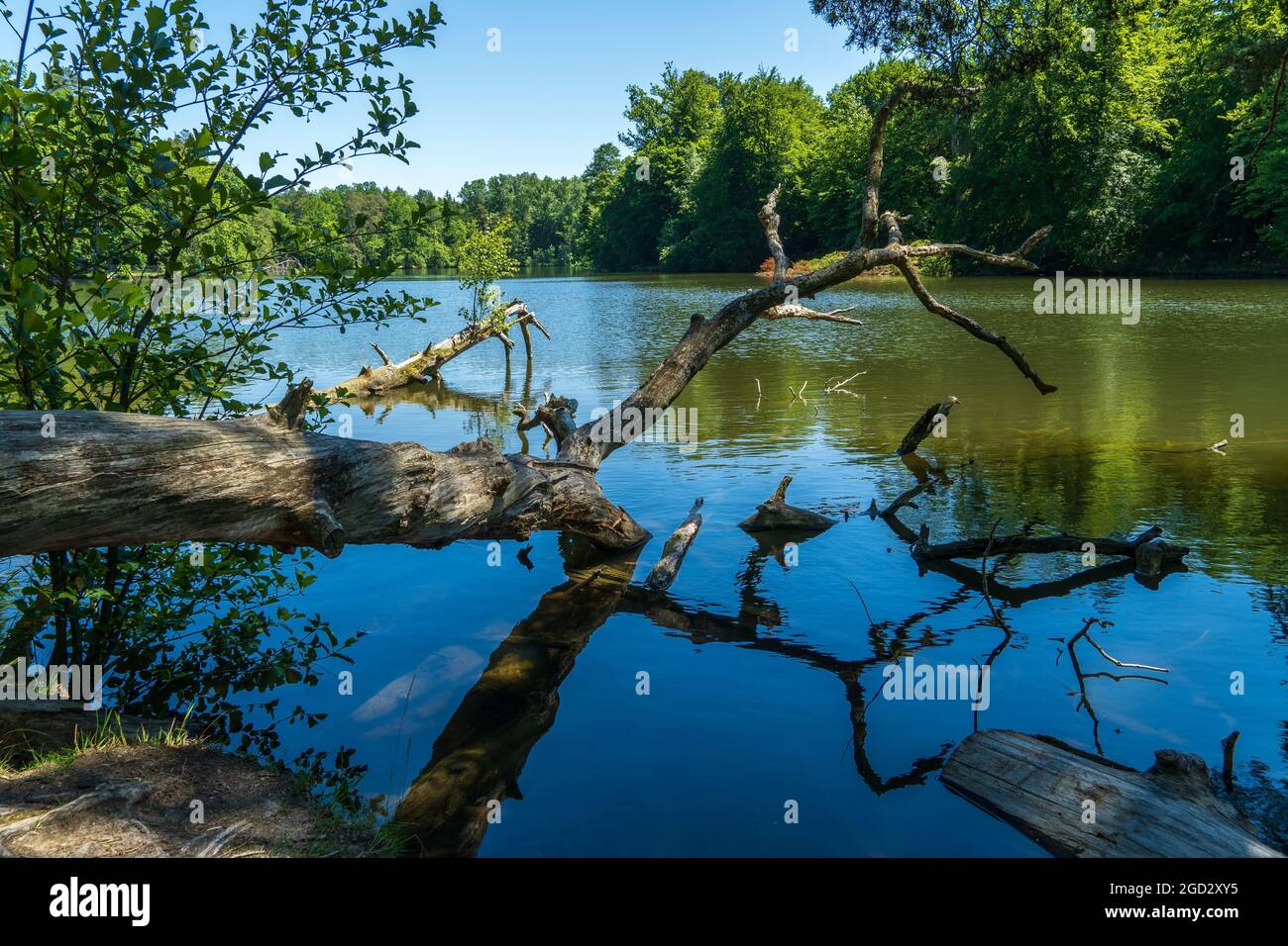 Lake in Stuttgart Stock Photo - Alamy