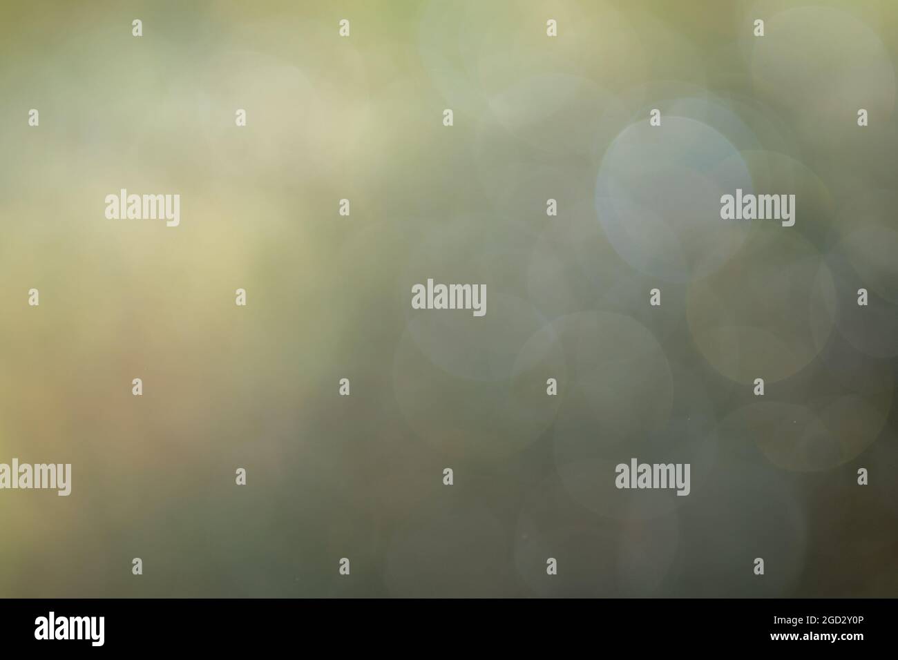 Bokeh background in light colors Stock Photo - Alamy