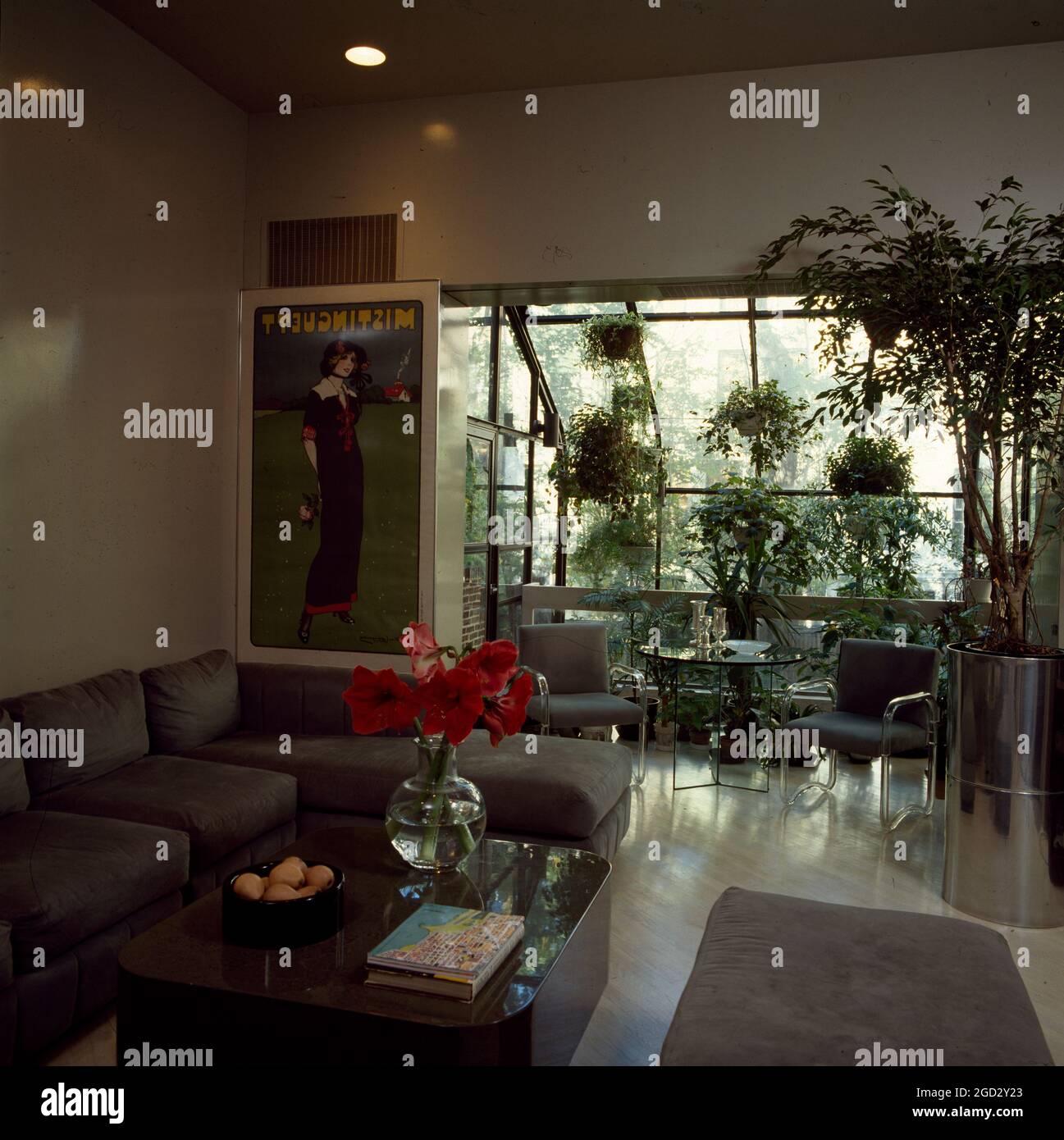 Designer livingroom with large atrium styled area filled with plants ...