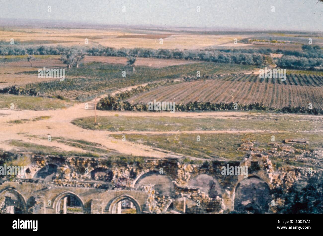 Plain Of Sharon High Resolution Stock Photography and Images - Alamy