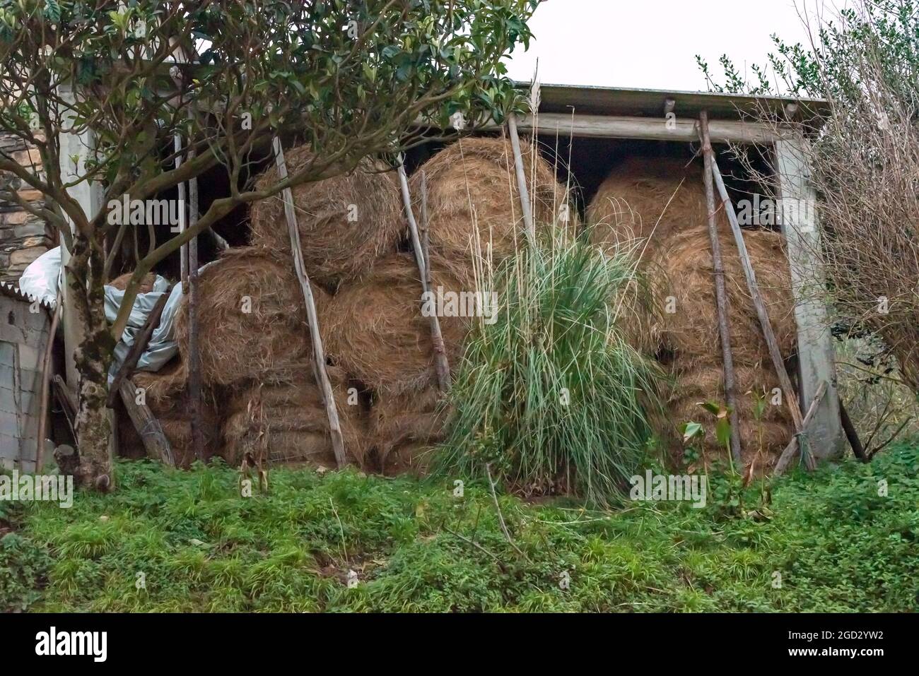 traditional straw in a mountain village with straw bales Stock Photo ...