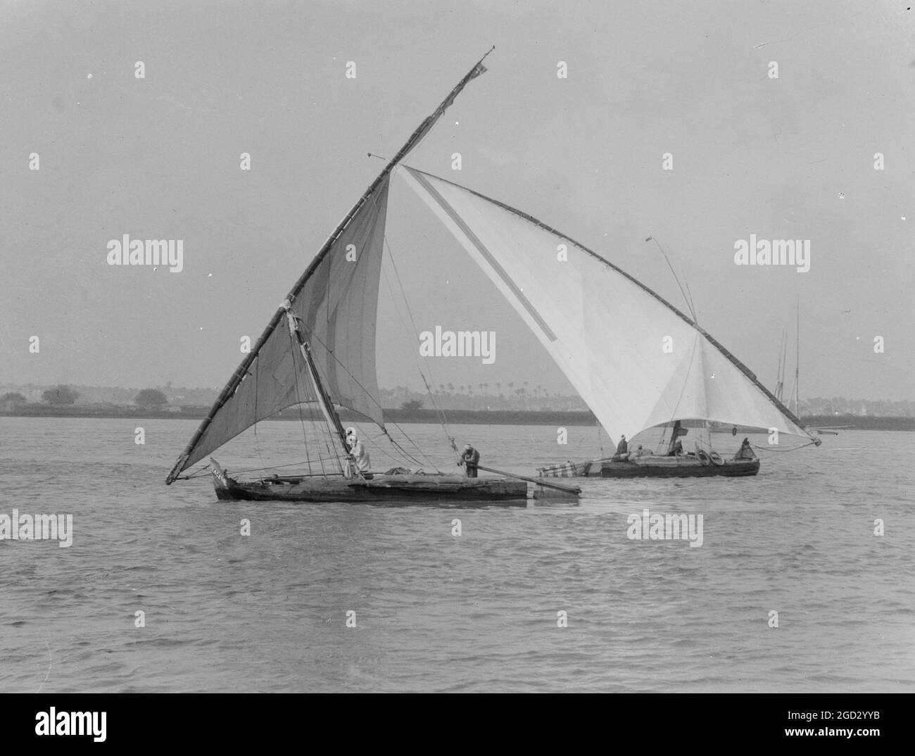 Sailed Falukas boats on the Nile, near Cairo Egypt, typical triangular ...