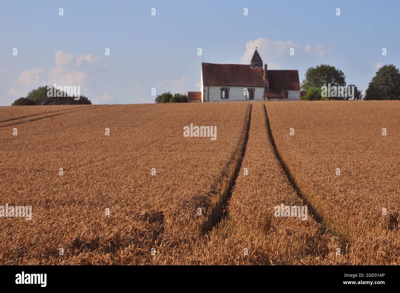 ST. HUBERTS CHURCH, IDSWORTH, HAMPSHIRE SURROUNDED BY WHEAT FIELDS. PIC ...