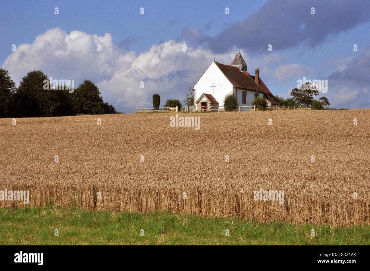ST. HUBERTS CHURCH, IDSWORTH, HAMPSHIRE SURROUNDED BY WHEAT FIELDS. PIC ...