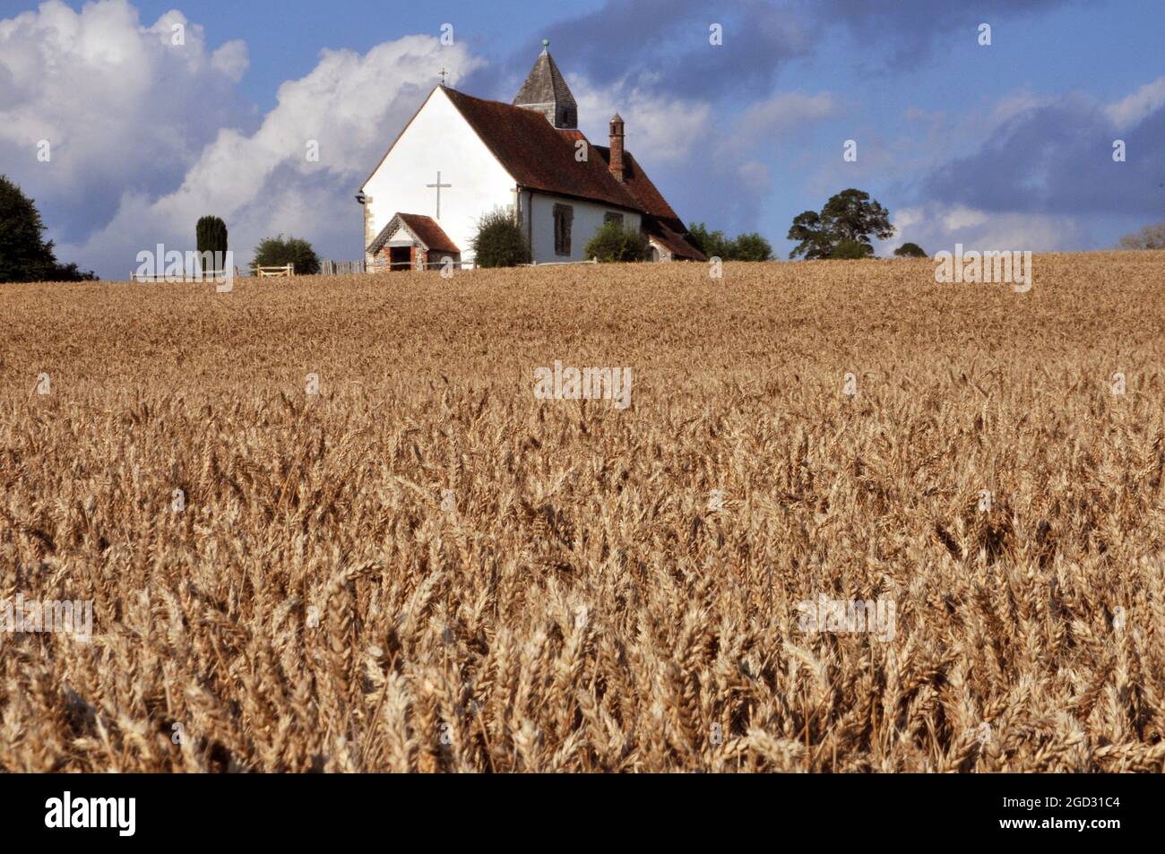 ST. HUBERTS CHURCH, IDSWORTH, HAMPSHIRE SURROUNDED BY WHEAT FIELDS. PIC ...