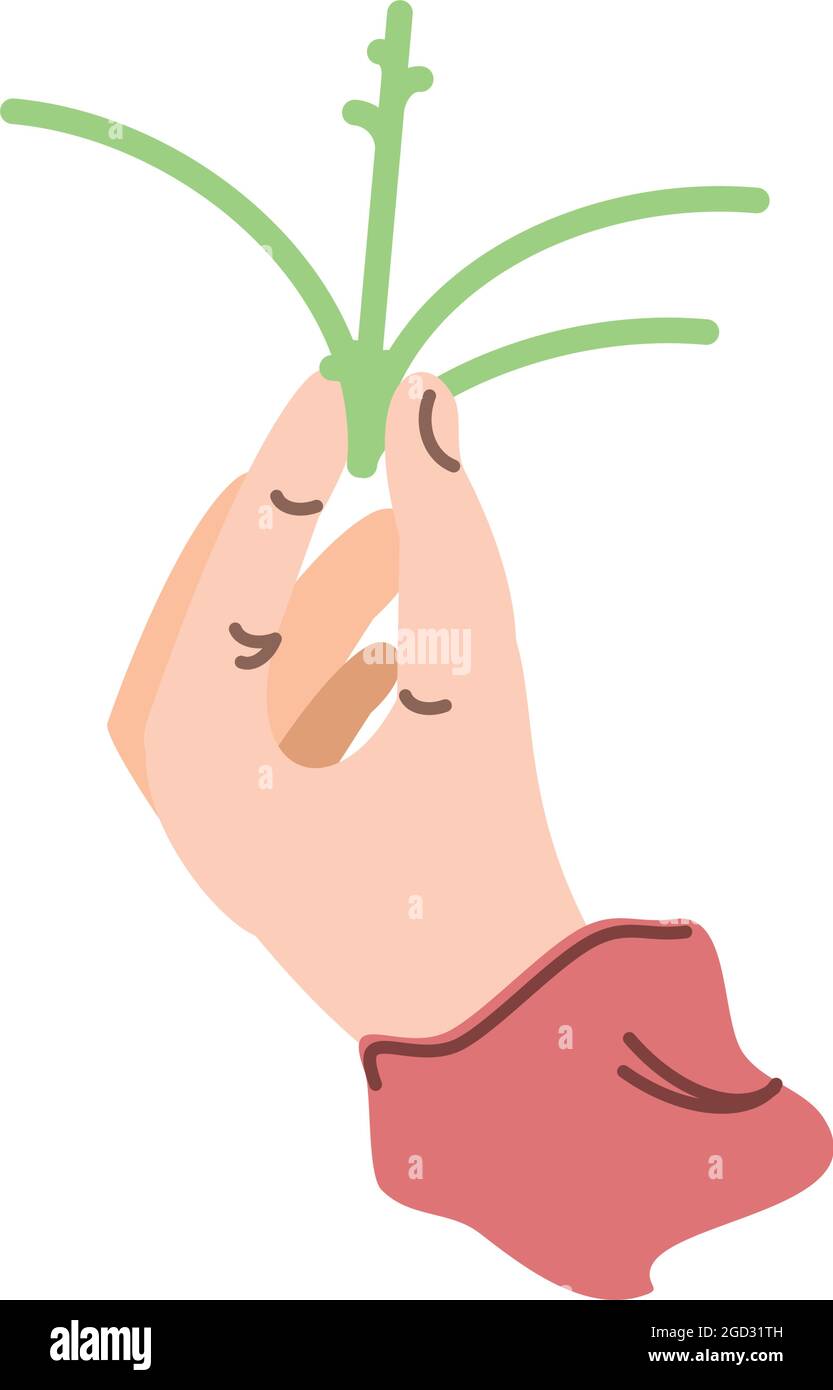 hand with a plant Stock Vector Image & Art - Alamy