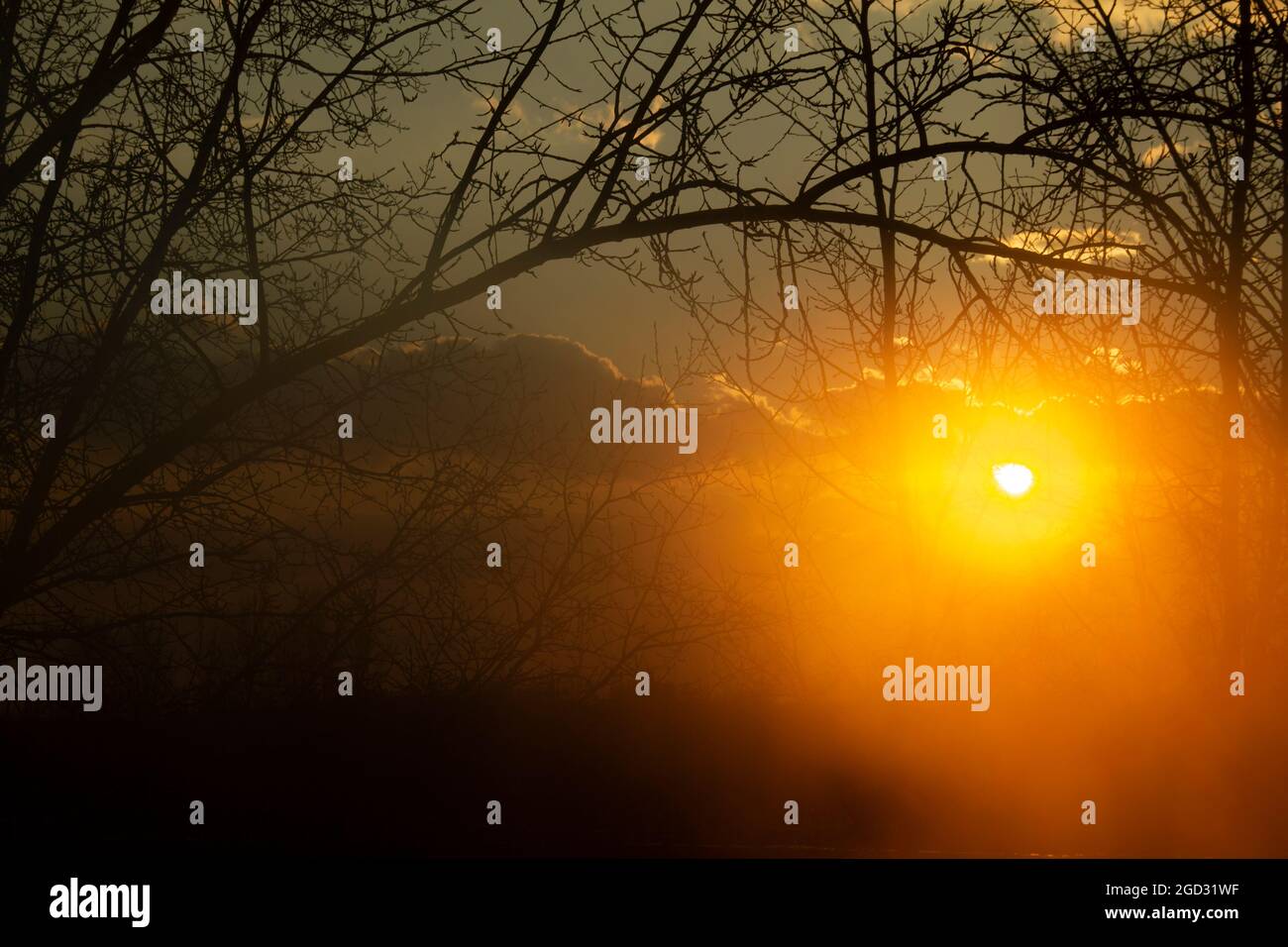 Fog month hi-res stock photography and images - Alamy