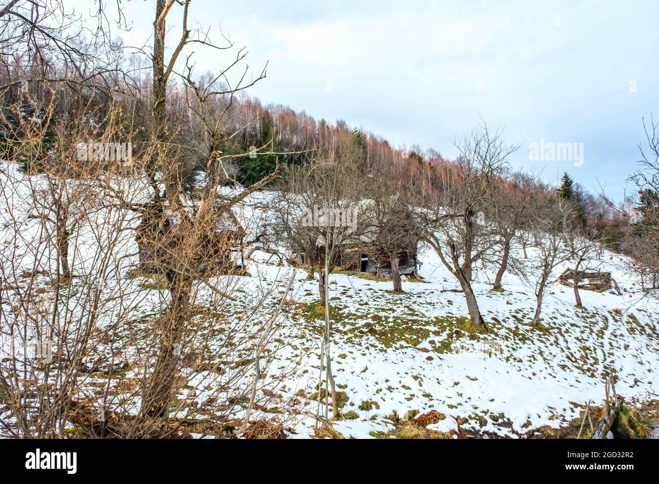 beautiful winter landscapes in the Romanian mountains, Fantanele ...