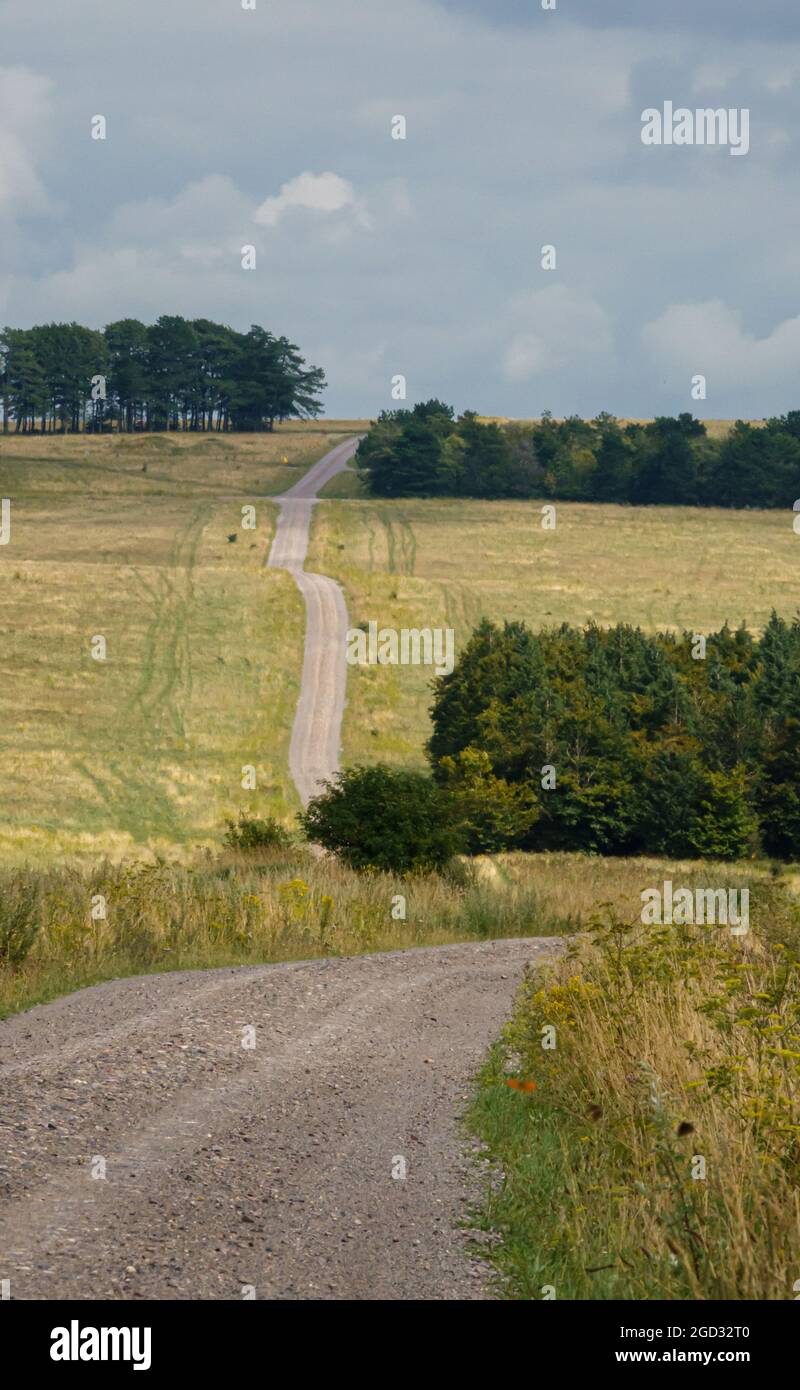 a long undulating and gently winding stone track leading up the hill ...
