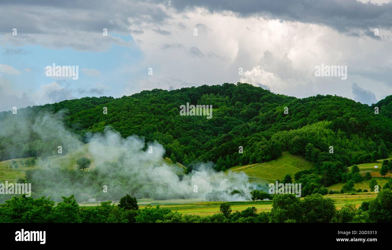 vegetation fire near the forest Stock Photo - Alamy
