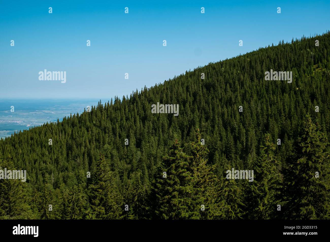 view from Cindrel mountains, Romania Stock Photo - Alamy