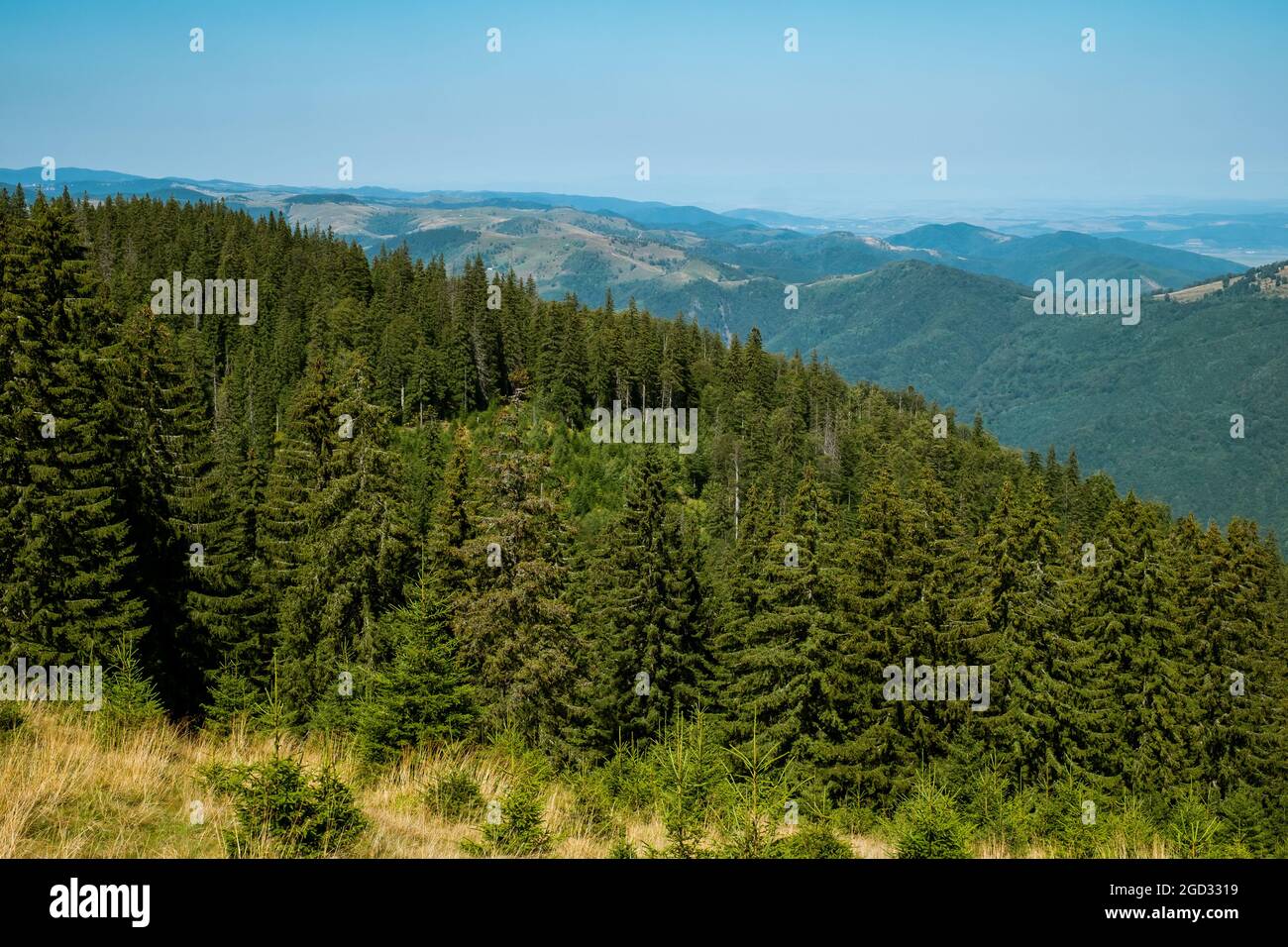 view from Cindrel mountains, Romania Stock Photo - Alamy