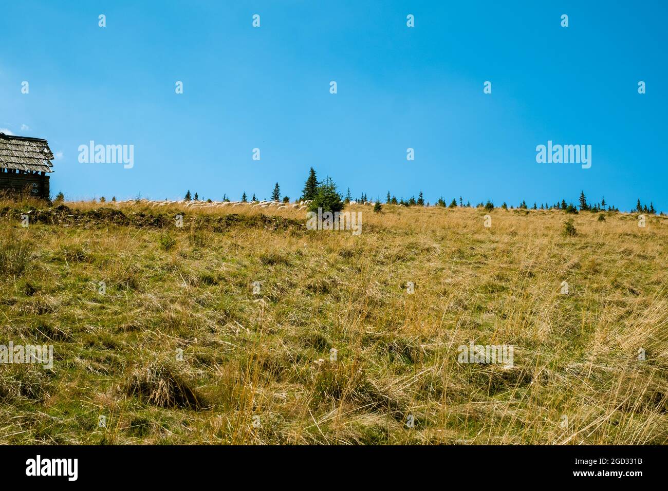 view from Cindrel mountains, Romania Stock Photo - Alamy