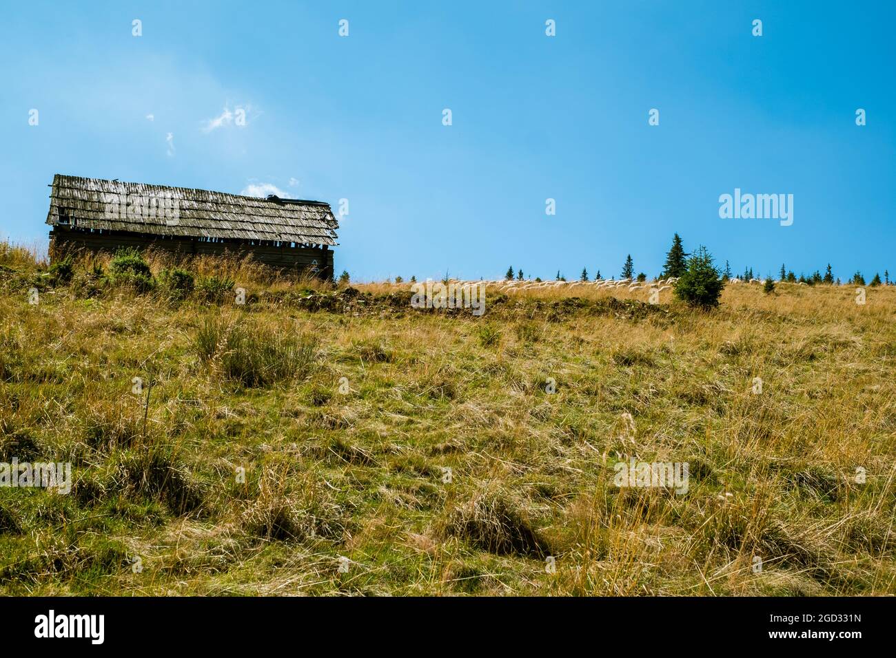 view from Cindrel mountains, Romania Stock Photo - Alamy