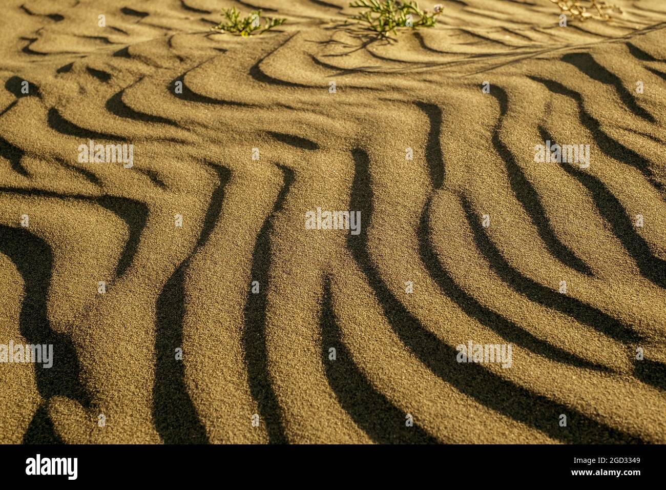 Background texture of desert sand Stock Photo - Alamy