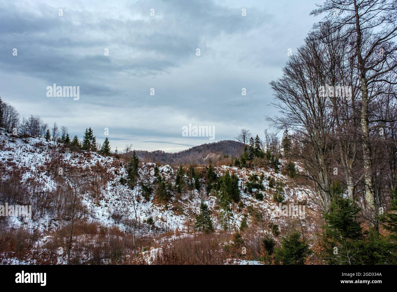 beautiful winter landscapes in the Romanian mountains, Fantanele ...