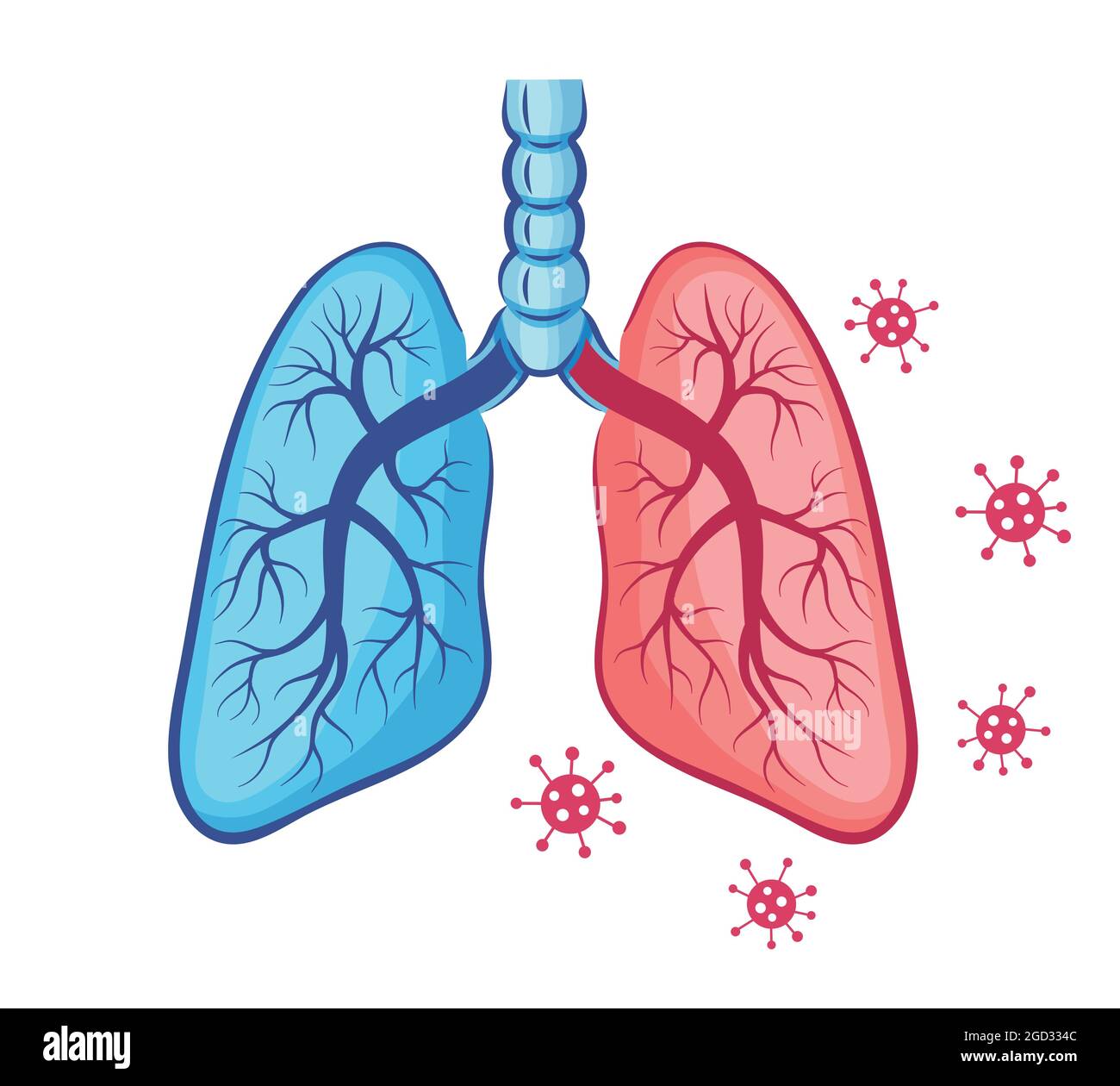 Respiratory tract infection vector vectors Stock Vector Images - Alamy