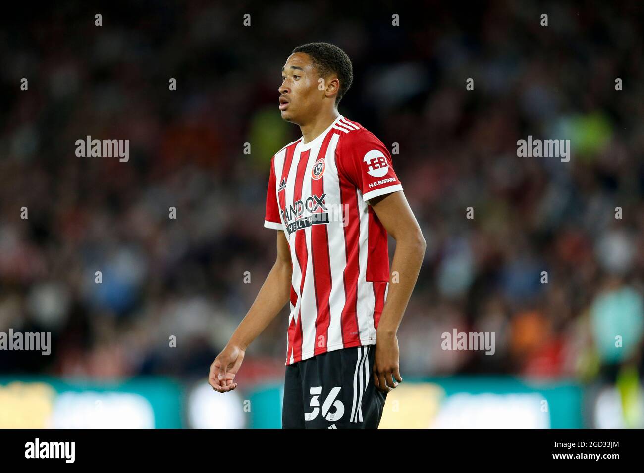 Daniel Jebbison #36 of Sheffield United Stock Photo - Alamy