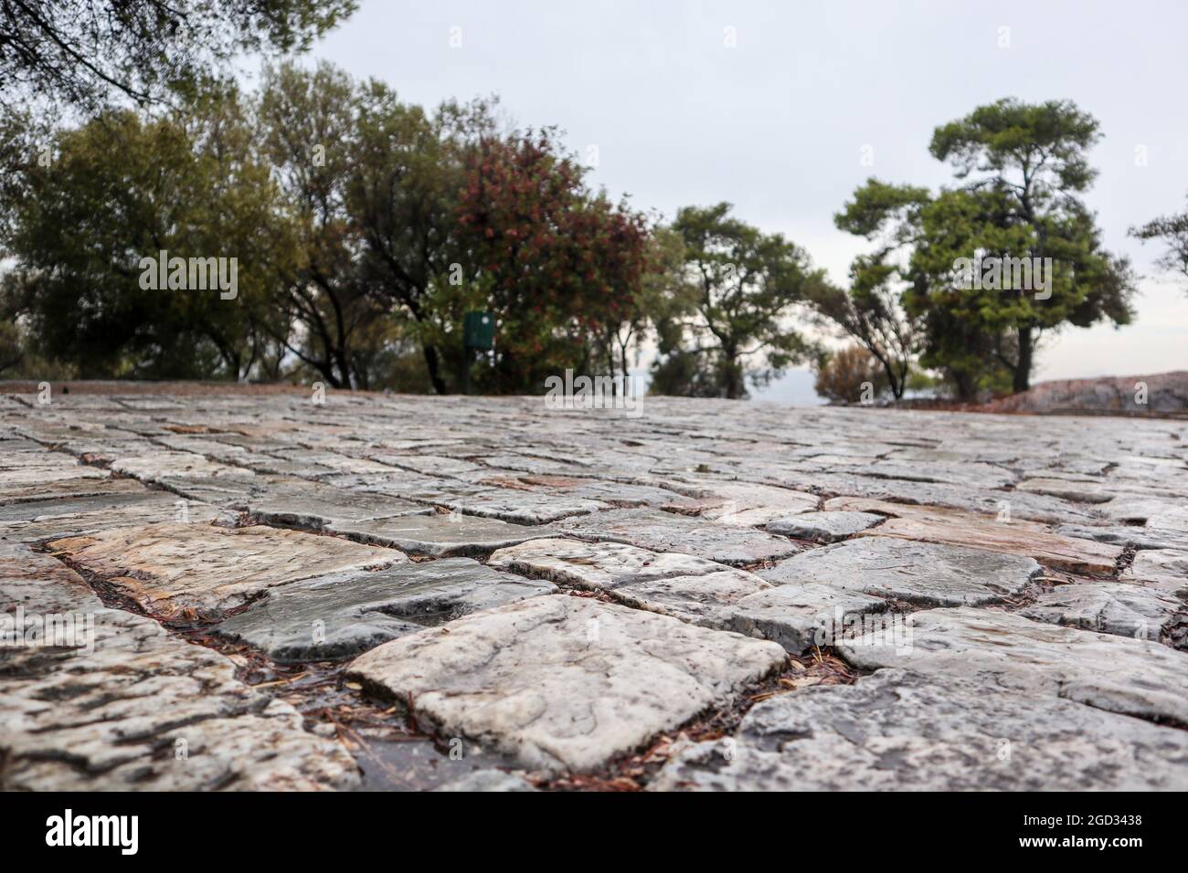 Ancient paving stone road close-up, old path in trees going down from ...