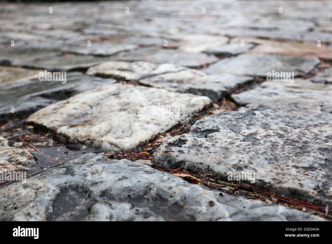 Ancient cobblestone pavement. Paving stone road close-up after rain ...