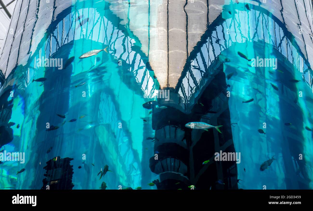 Radisson blu hotel berlin aquarium hi-res stock photography and images ...