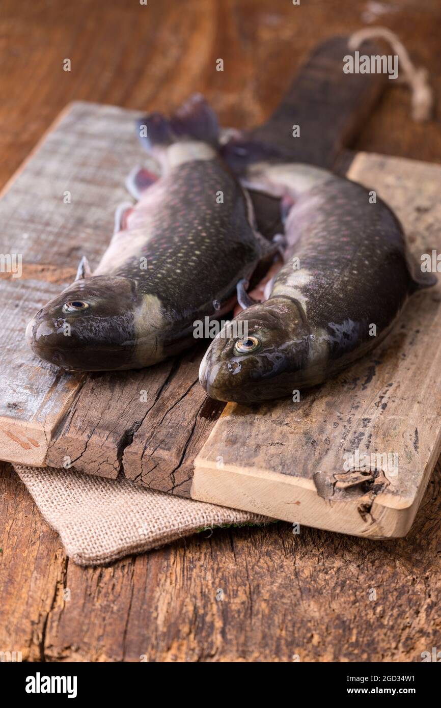 two raw chars on rustic wood Stock Photo - Alamy