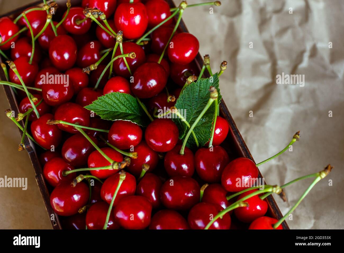 Close-up cropped box, crape of dark red sweet cherries with tail on ...