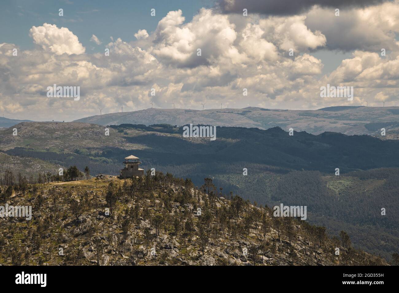 View from fire observation tower hi-res stock photography and images ...