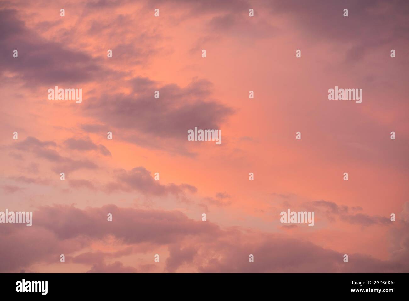 Bright pink sunset sky for wallpapers Stock Photo - Alamy