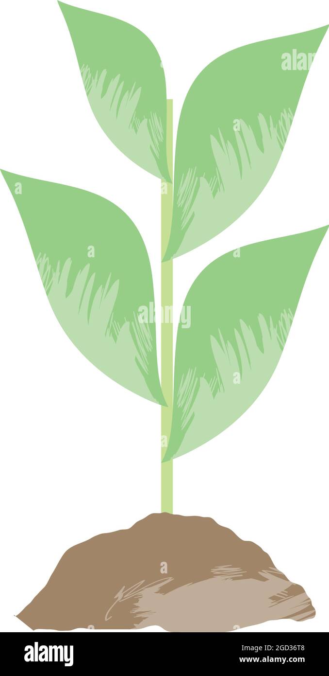 growing plant in ground Stock Vector Image & Art - Alamy