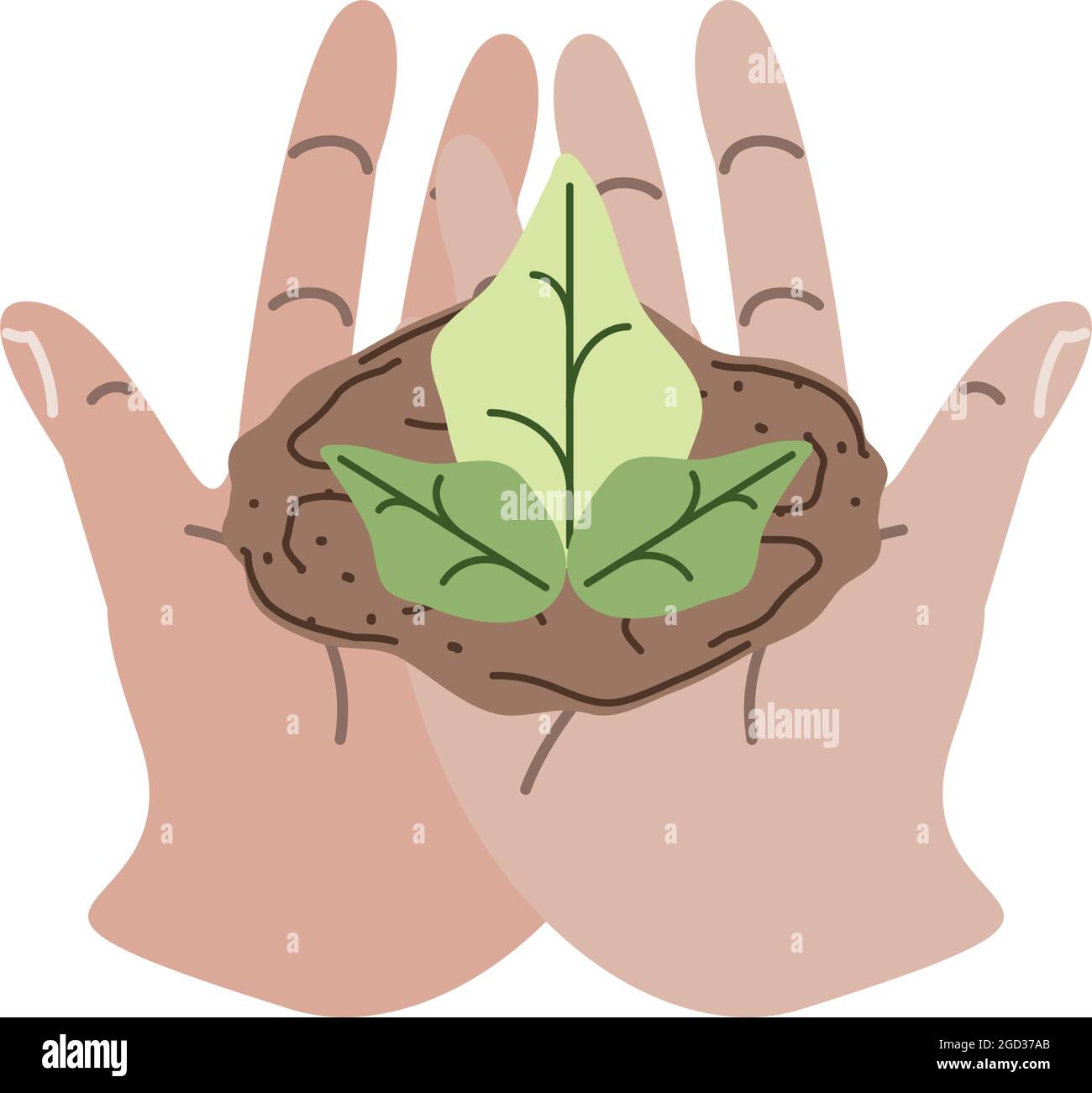 hands with plant and soil Stock Vector Image & Art - Alamy