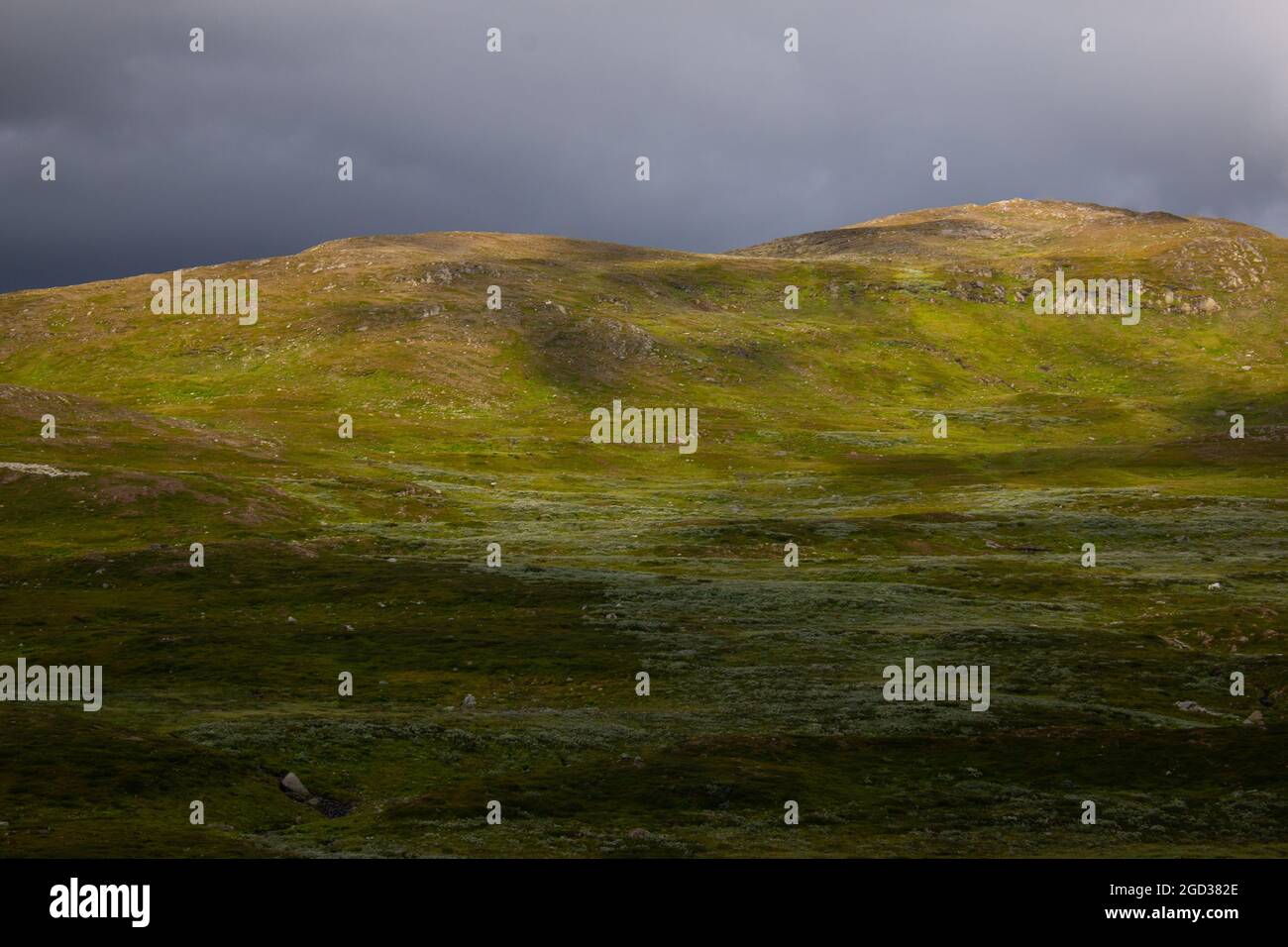 A view of the hills around Hemavan, Sweden, middle of July Stock Photo ...