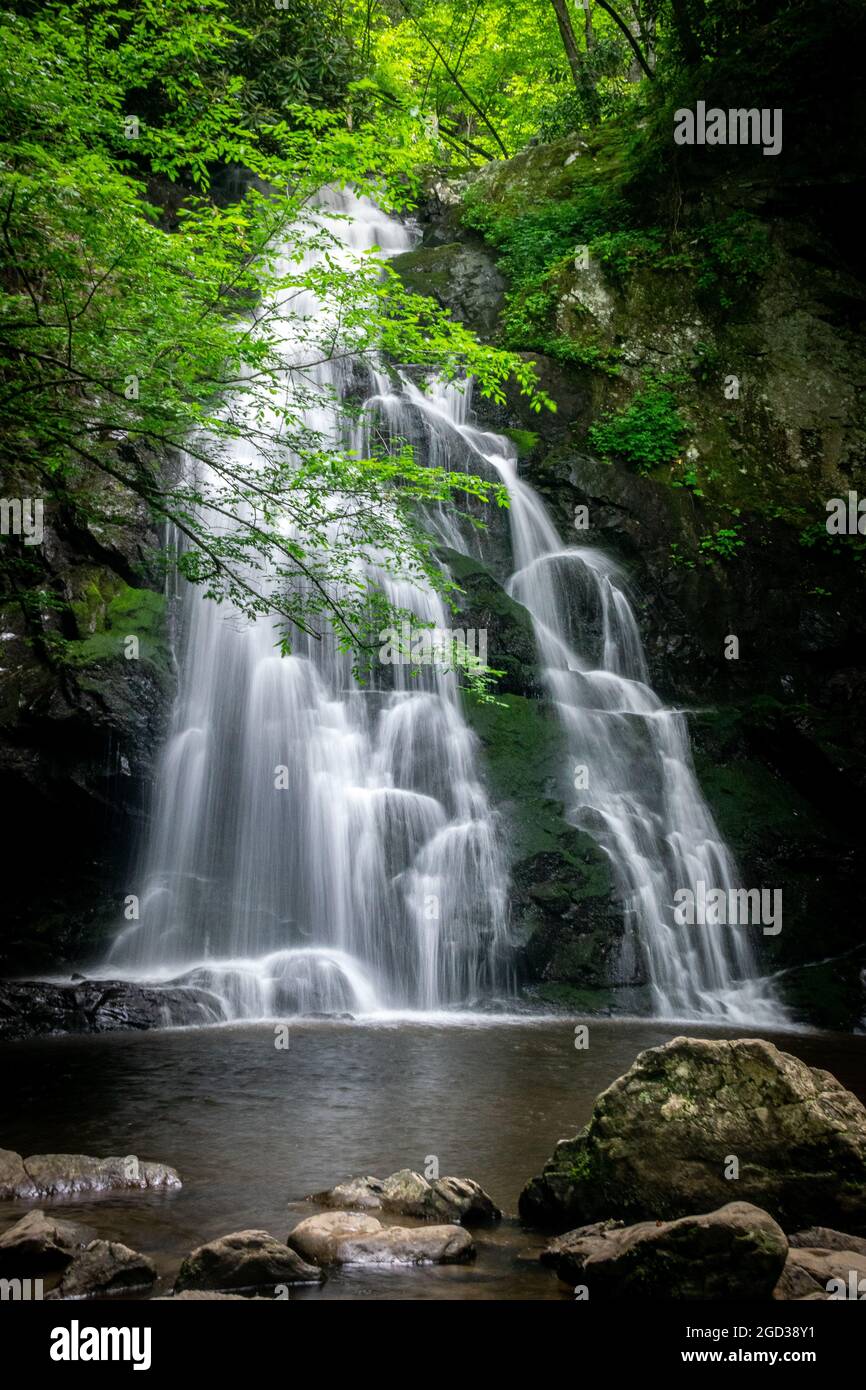 Cascade and spruce hi-res stock photography and images - Alamy